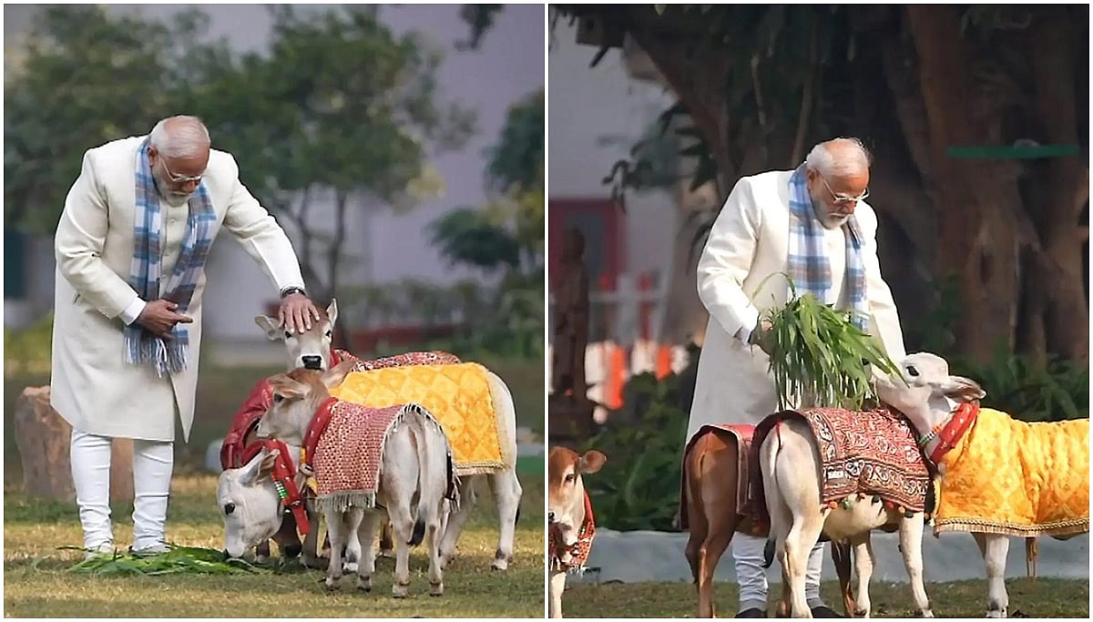 Video: ದೆಹಲಿಯ ತಮ್ಮ ನಿವಾಸದಲ್ಲಿ ಗೋವುಗಳಿಗೆ ಮೇವು ನೀಡುವ ಮೂಲಕ ಮಕರ ಸಂಕ್ರಾಂತಿ ...